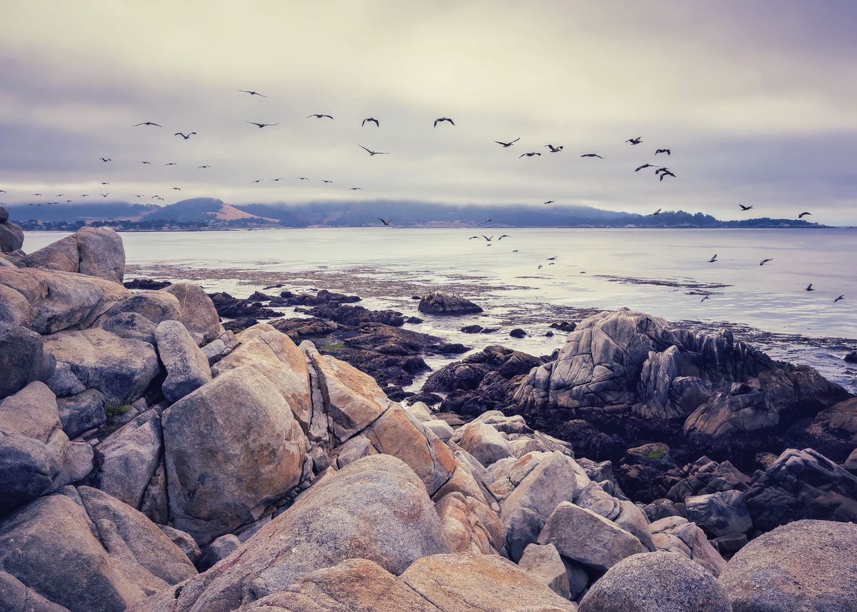 'Pebble Beach' Poster, picture, metal print, paint by Jonathan Nguyen ...
