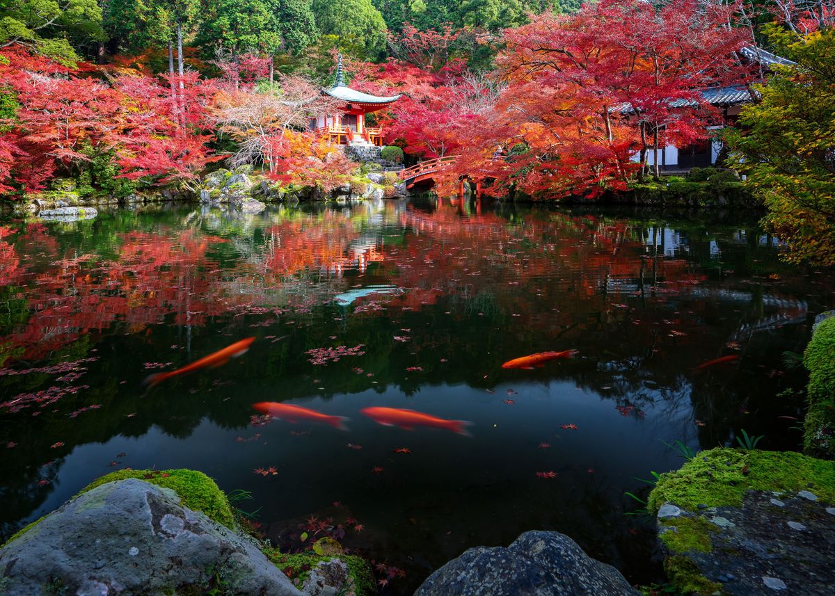 'Japan temple lake autumn' Poster, picture, metal print, paint by ...
