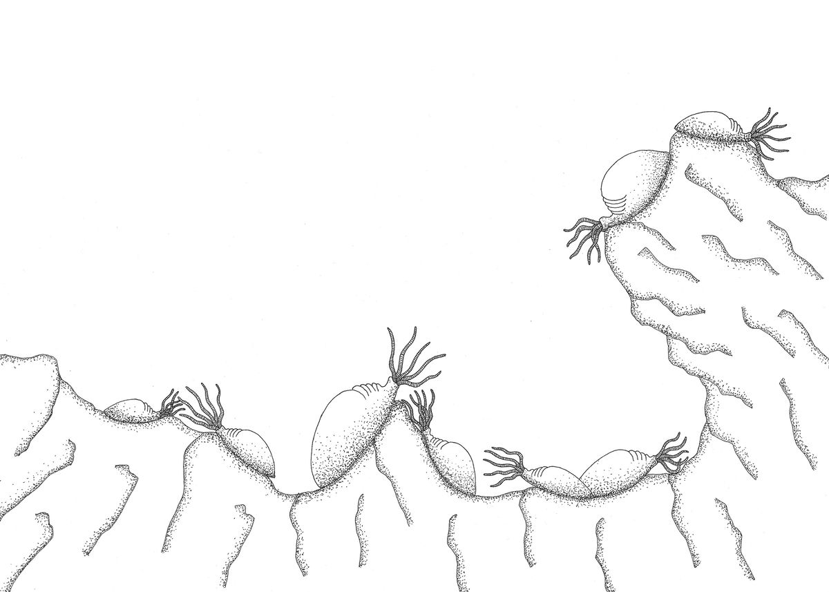 'Residents' Poster, picture, metal print, paint by guillaume hess ...