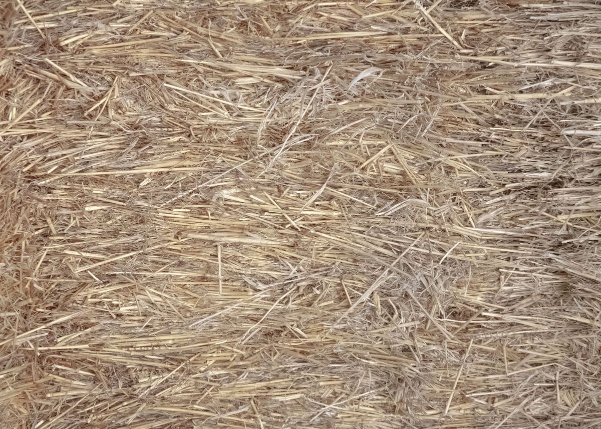 'Hay bale texture closeup p' Poster, picture, metal print, paint by ...