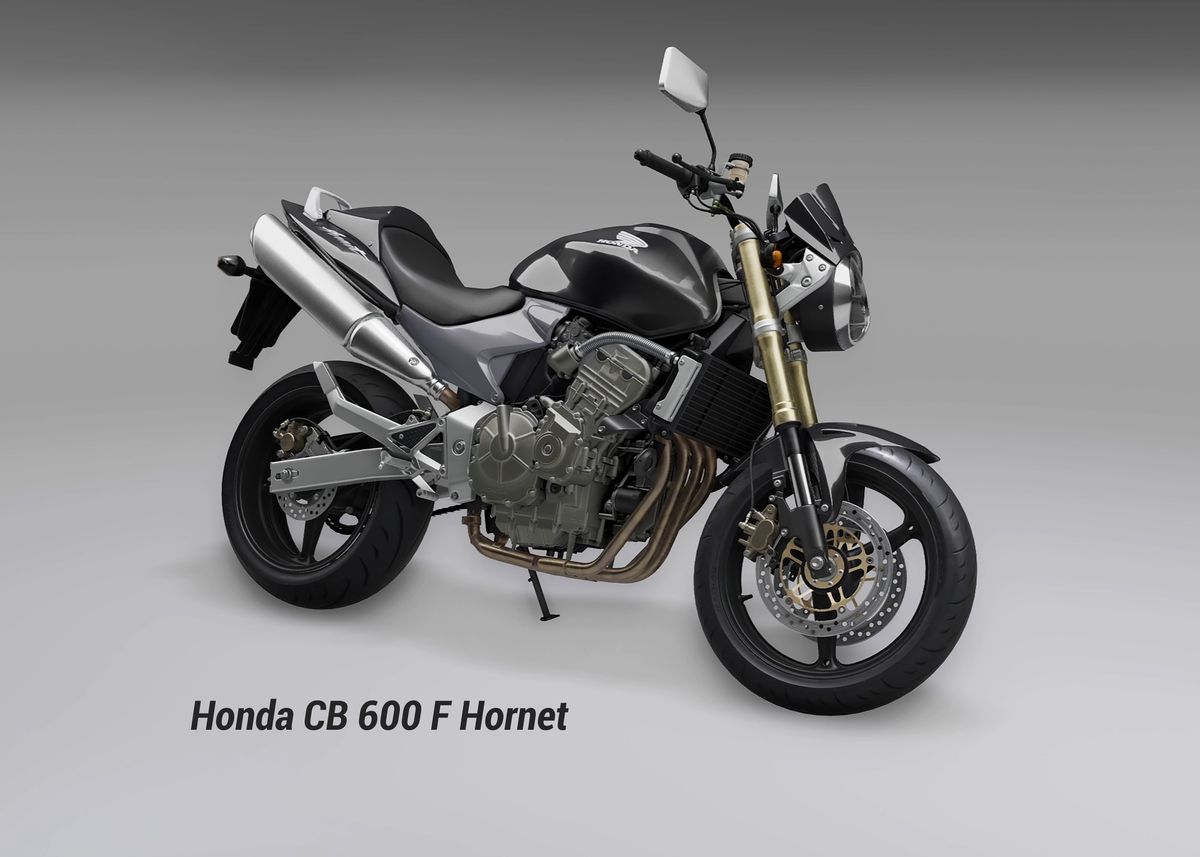 'Honda CB 600 F Hornet' Poster, picture, metal print, paint by One Line ...