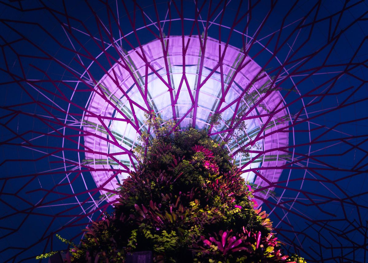 'Supertree Grove Gardens' Poster, picture, metal print, paint by ...