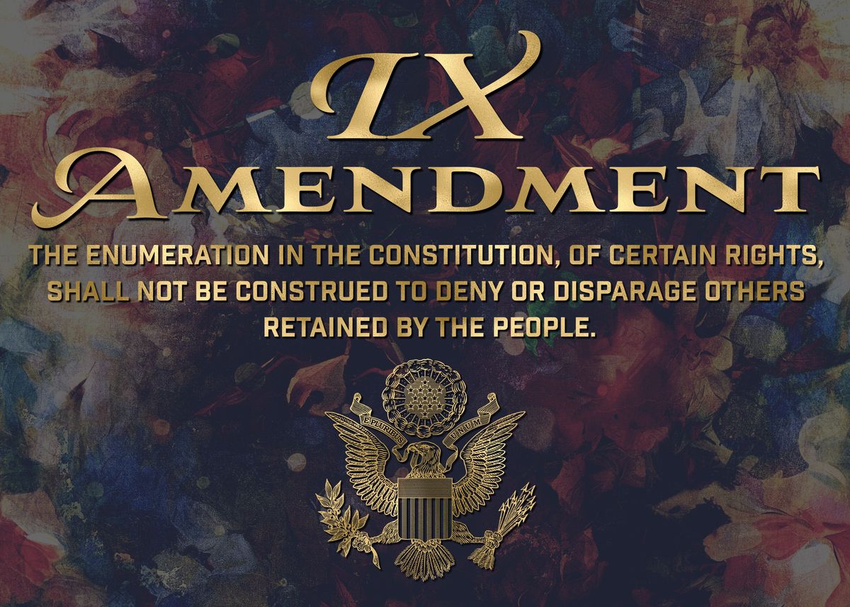 'Amendment IX' Poster, picture, metal print, paint by Breann Sullivan ...