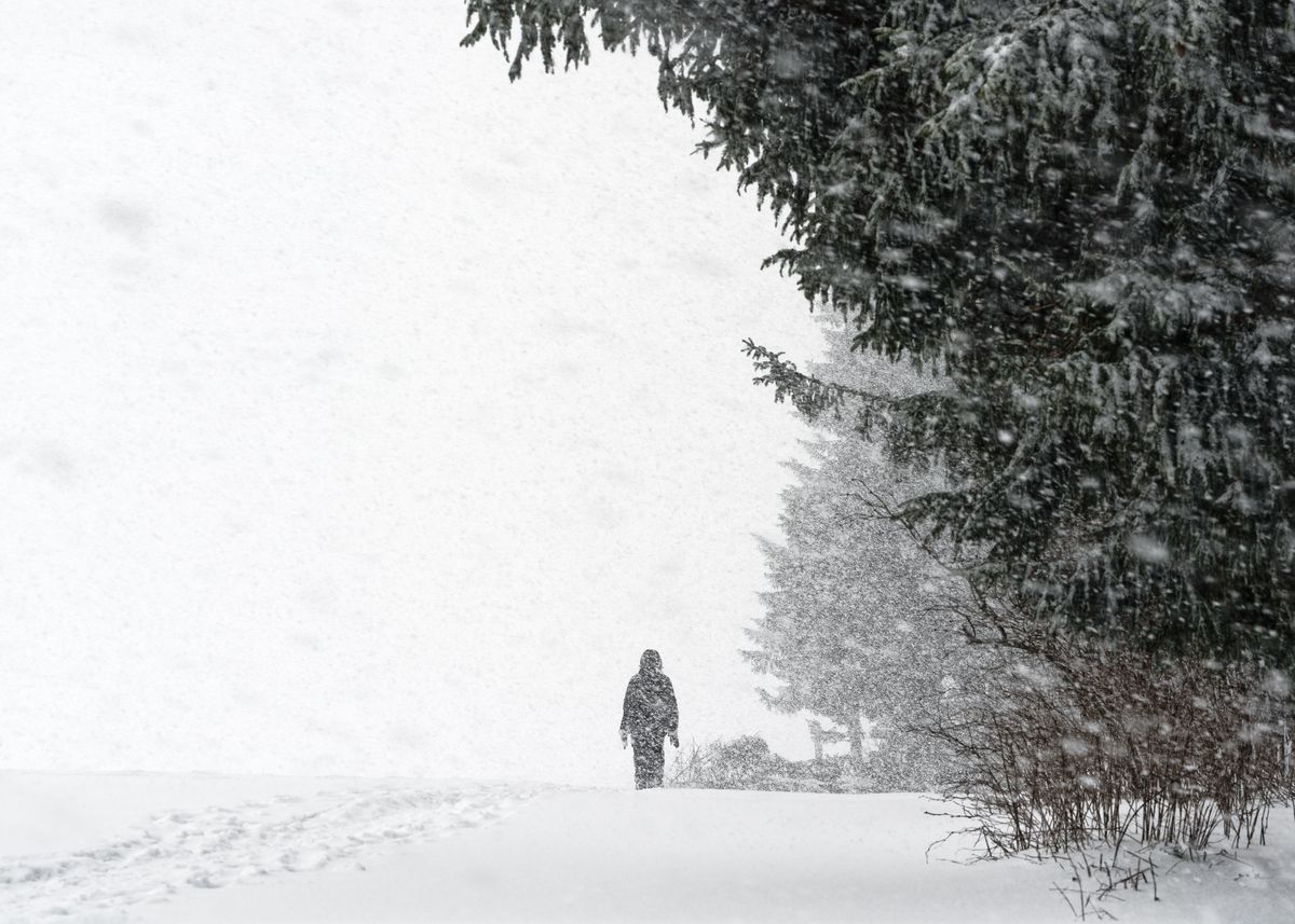 'Snowstorm' Poster, picture, metal print, paint by Ralf Lehmann | Displate