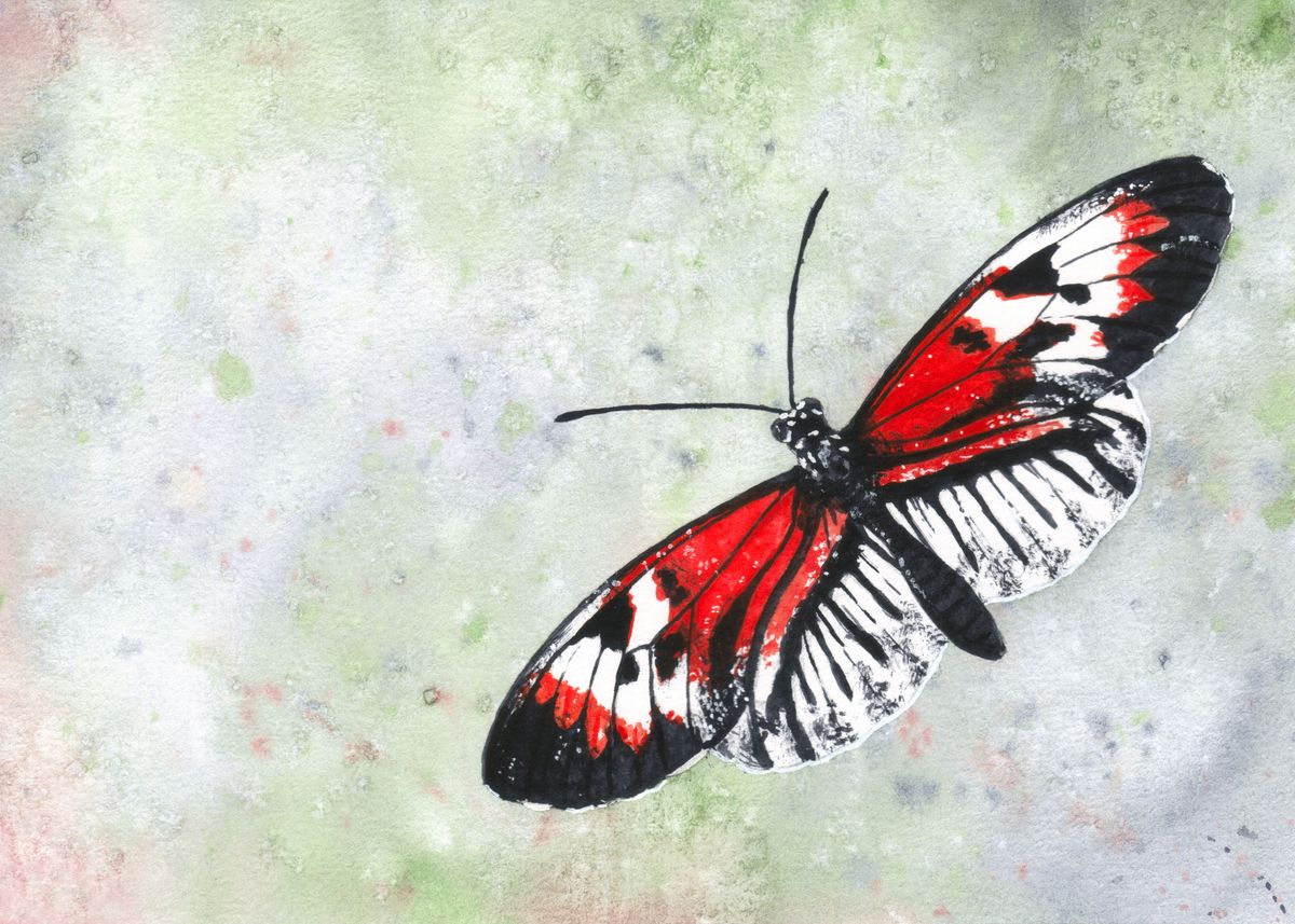 'Piano key butterfly' Poster, picture, metal print, paint by ...
