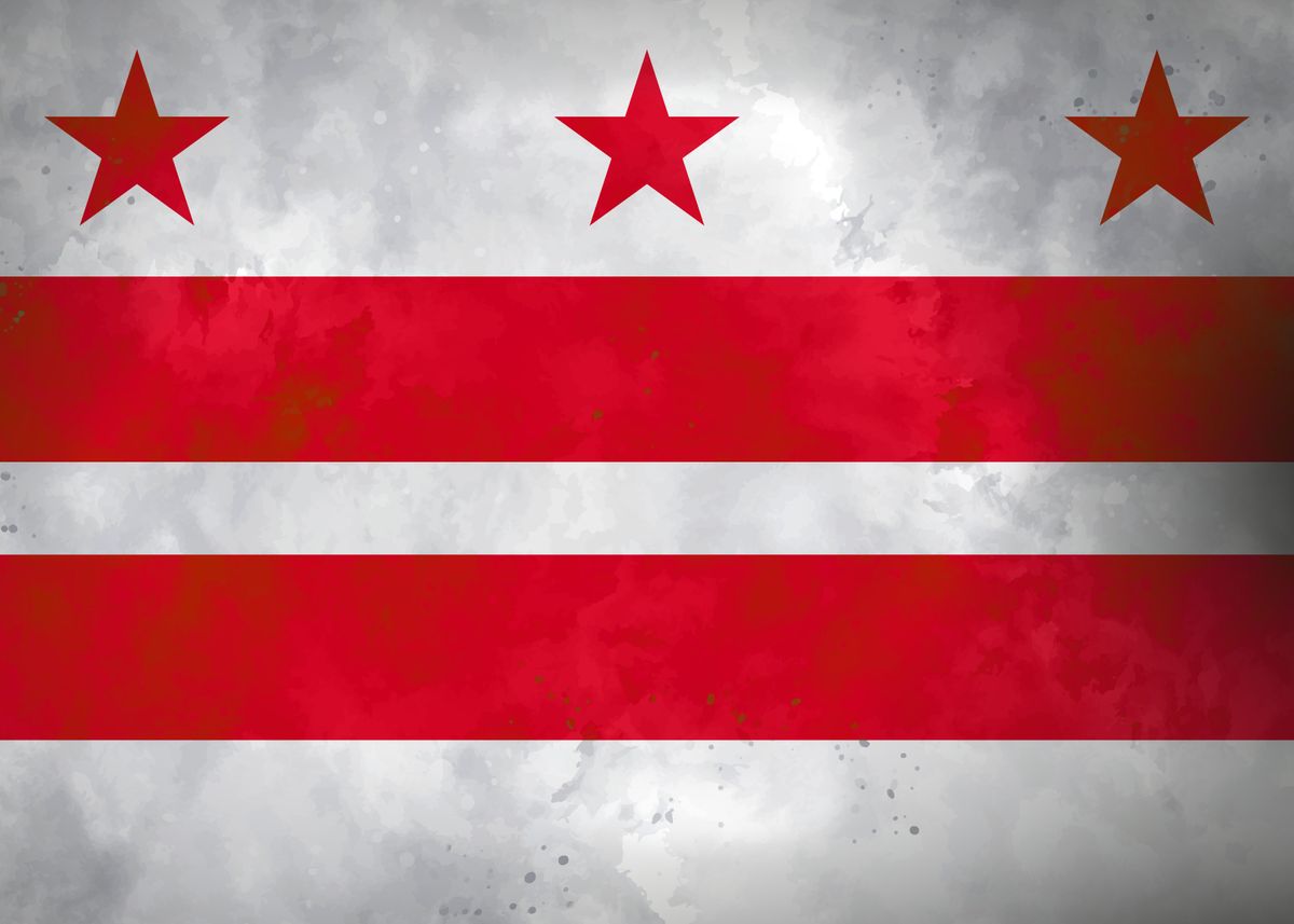 'Flag Washington DC Colu' Poster, picture, metal print, paint by ...