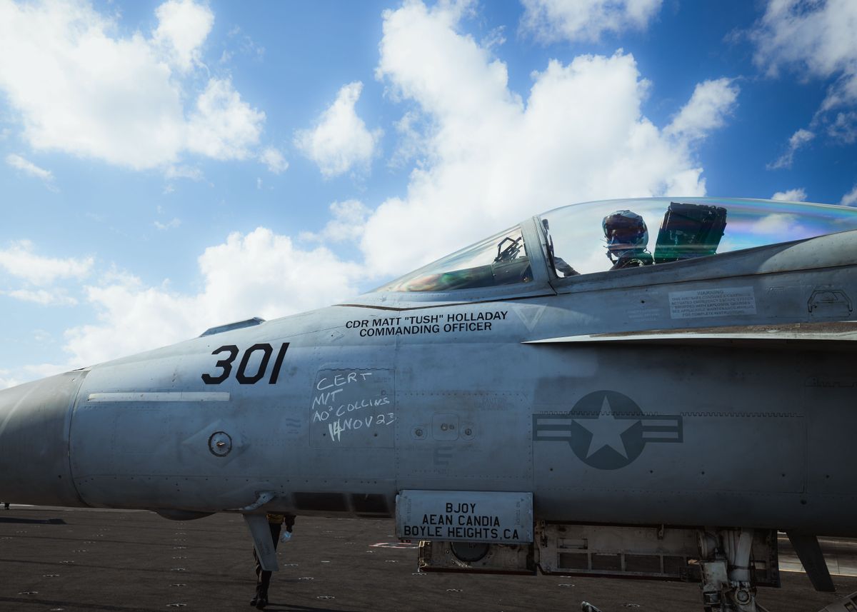 'MILITARY JET' Poster, picture, metal print, paint by M Benjamin ...