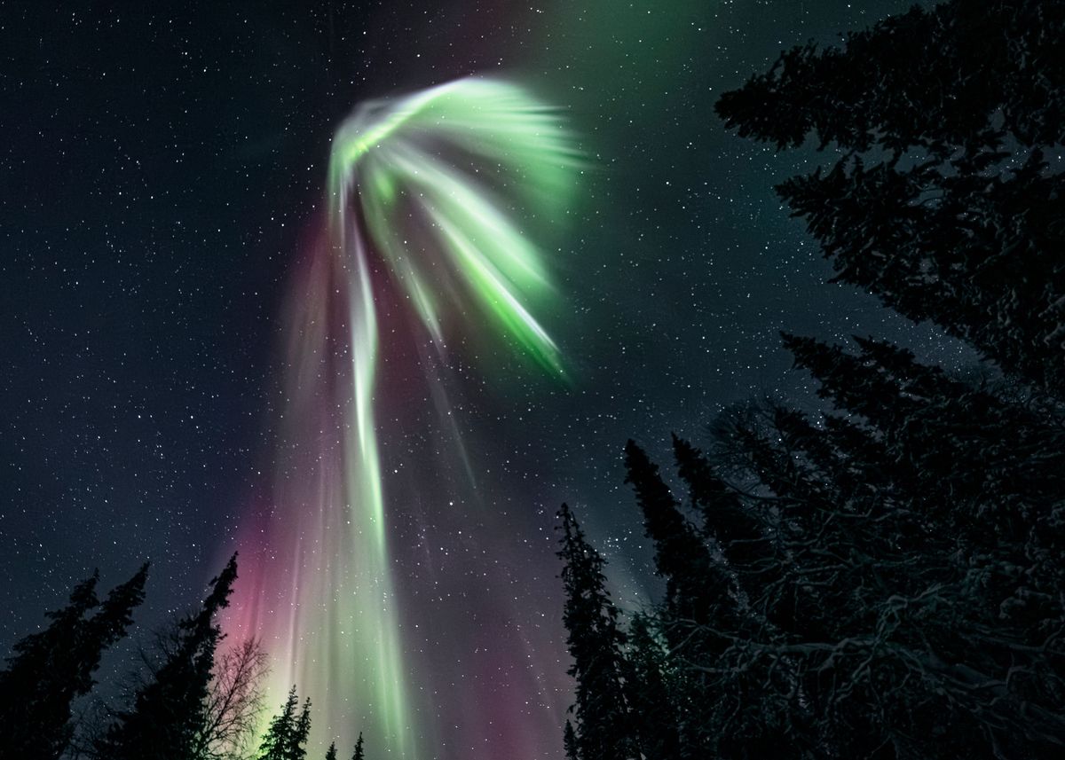 'Aurora Explosion' Poster, picture, metal print, paint by Timo Oksanen ...