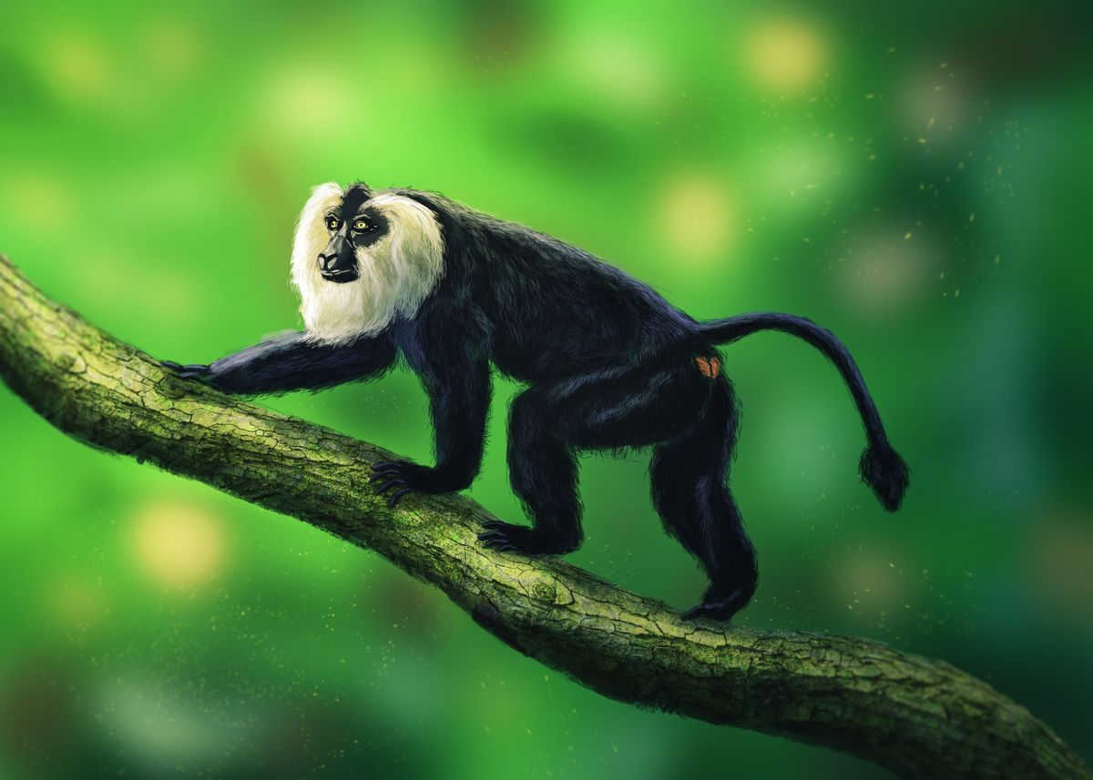 'Lion Tail Macaque' Poster, picture, metal print, paint by Aniket Patel ...