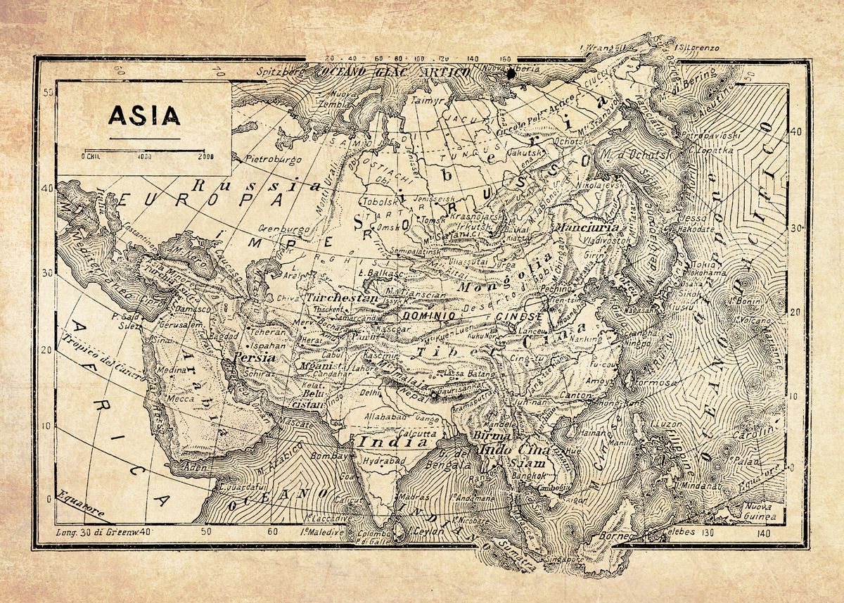 'Asia map' Poster, picture, metal print, paint by OMEGA FAUNA | Displate