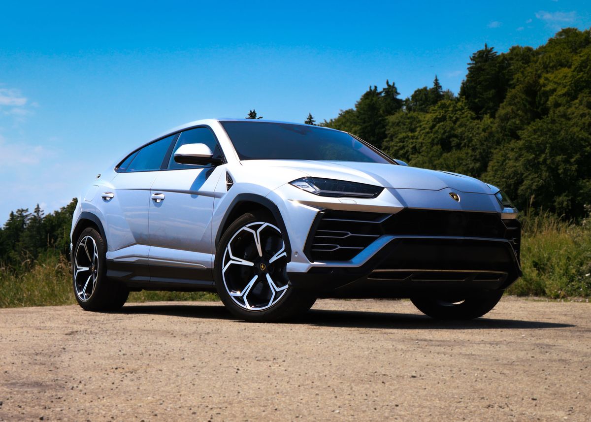 'Urus' Poster, picture, metal print, paint by Stgm1 | Displate