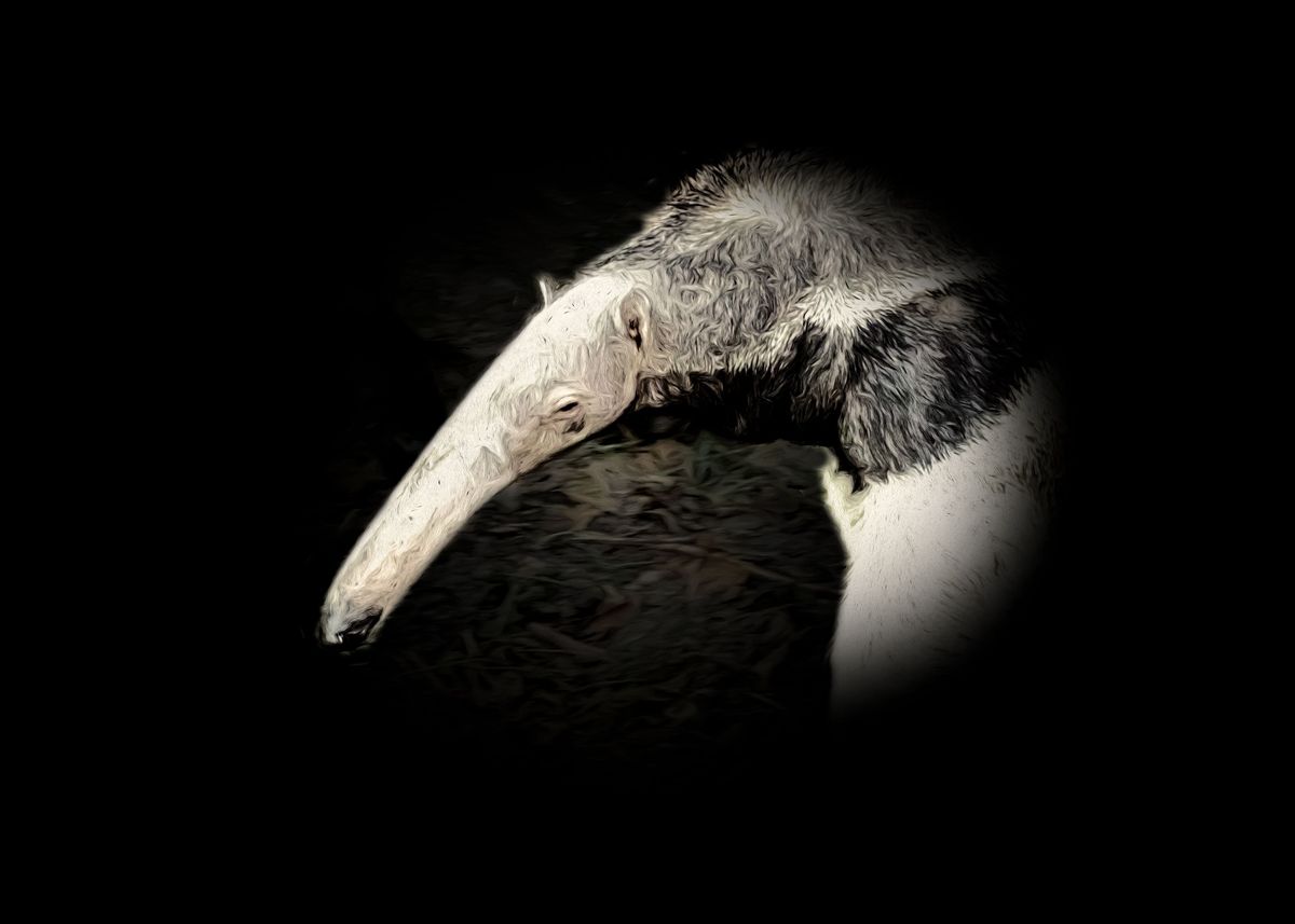 'Giant anteater' Poster, picture, metal print, paint by Gyula Gvardián ...