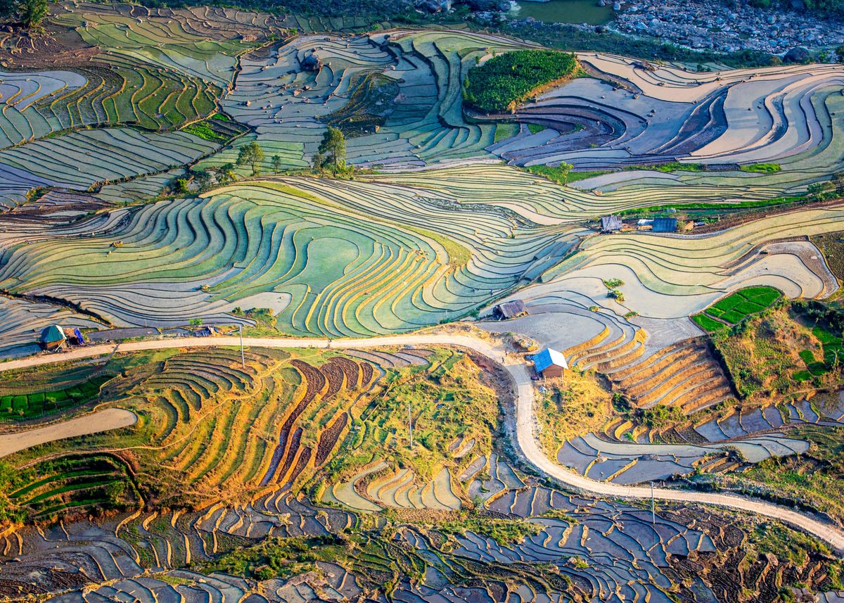 'Colorful rice terraces' Poster, picture, metal print, paint by Thanh ...