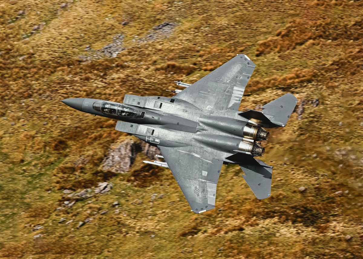 'McDonnell Douglas F-15 ' Poster, picture, metal print, paint by Lee ...