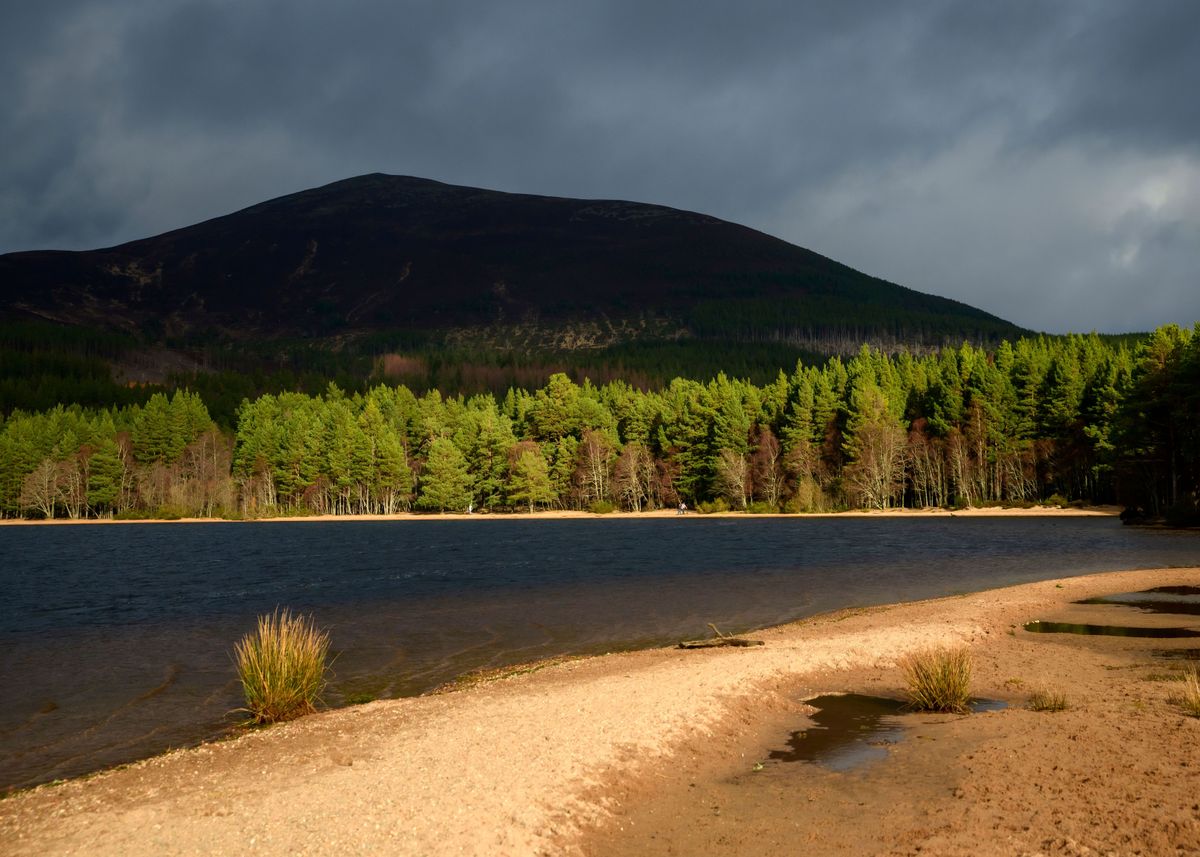 'Loch Morlich in Scotland' Poster, picture, metal print, paint by ...