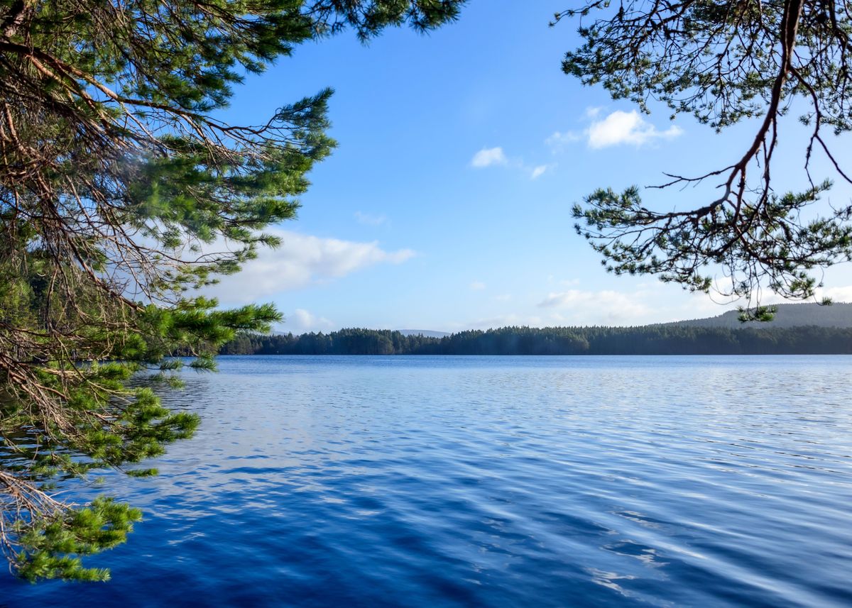 'Blue Lake' Poster, picture, metal print, paint by Svetlana Sewell ...