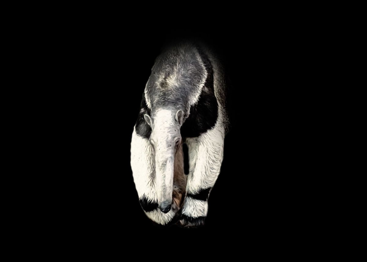 'Giant anteater' Poster, picture, metal print, paint by Gyula Gvardián ...