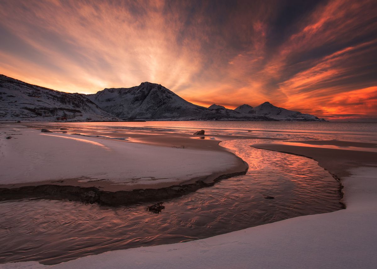 'Golden Sunset' Poster, picture, metal print, paint by World Class ...