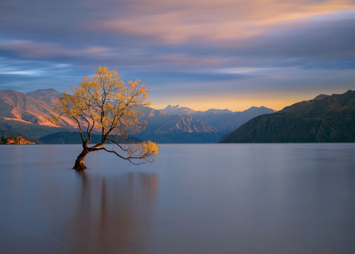 'Morning Glow' Poster, picture, metal print, paint by World Class ...