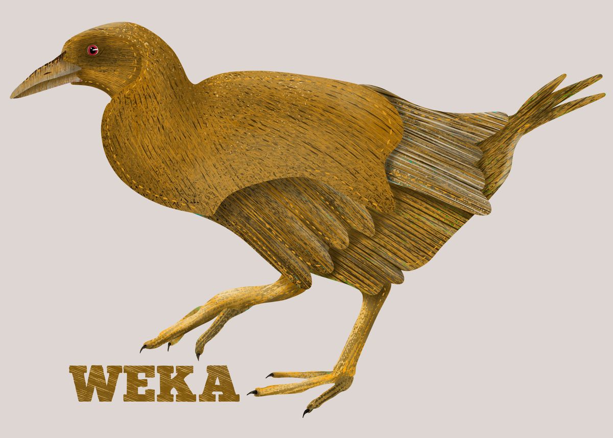 'Weka New Zealand Bird' Poster, picture, metal print, paint by mailbox ...
