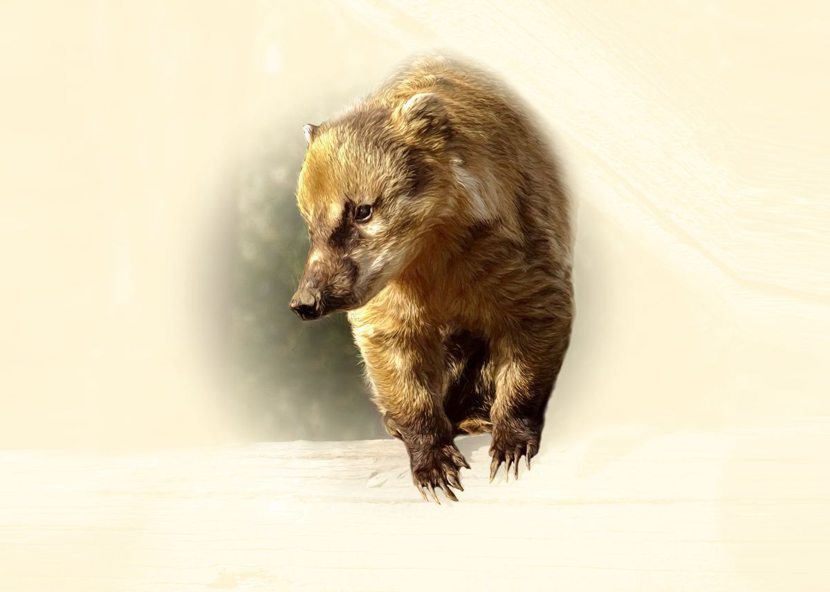 'Coati' Poster, picture, metal print, paint by Gyula Gvardián | Displate