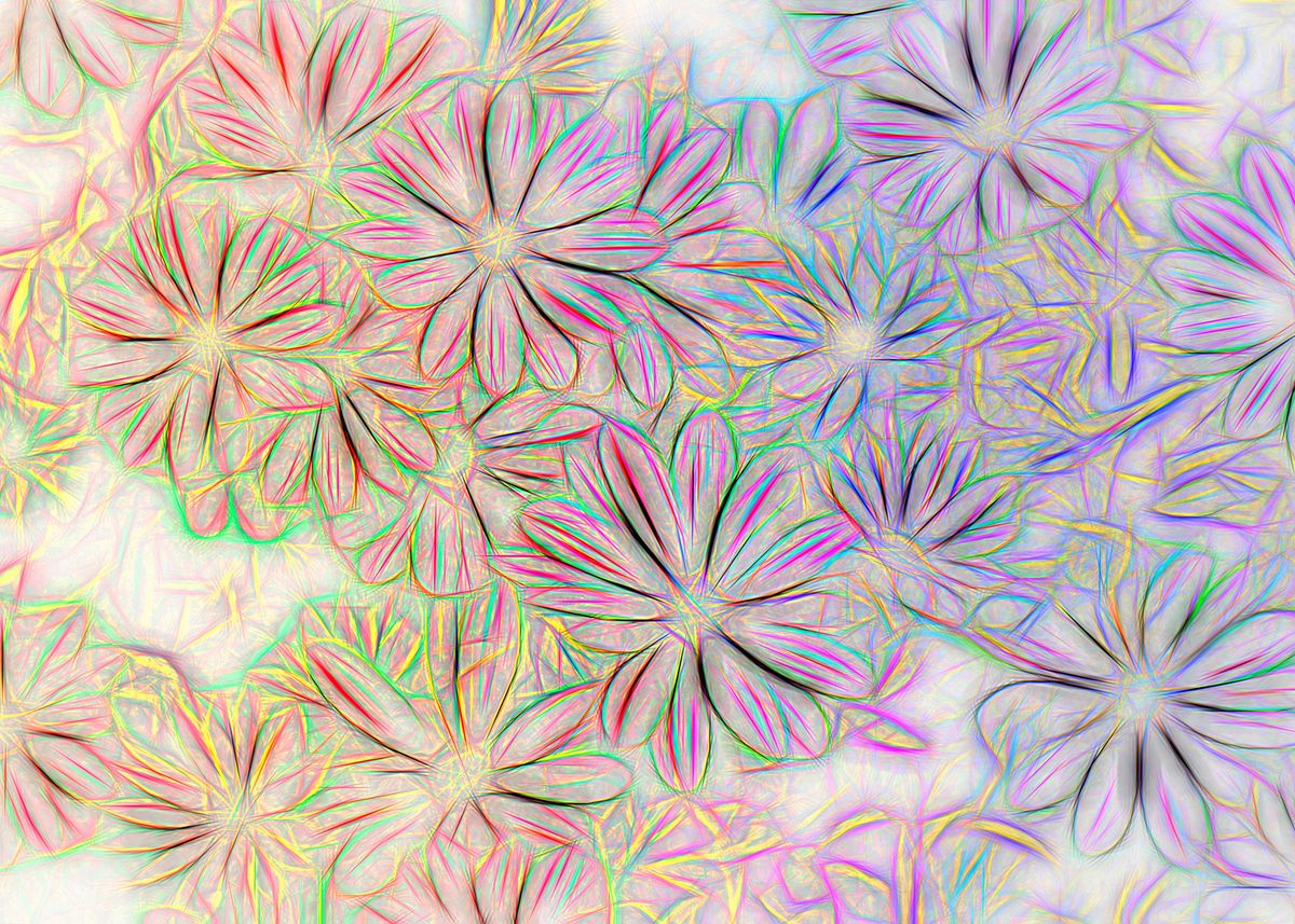 'colorful daisy in bloom ' Poster, picture, metal print, paint by ...