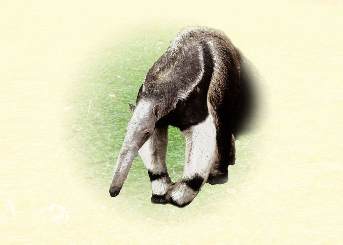 'Giant anteater' Poster, picture, metal print, paint by Gyula Gvardián ...