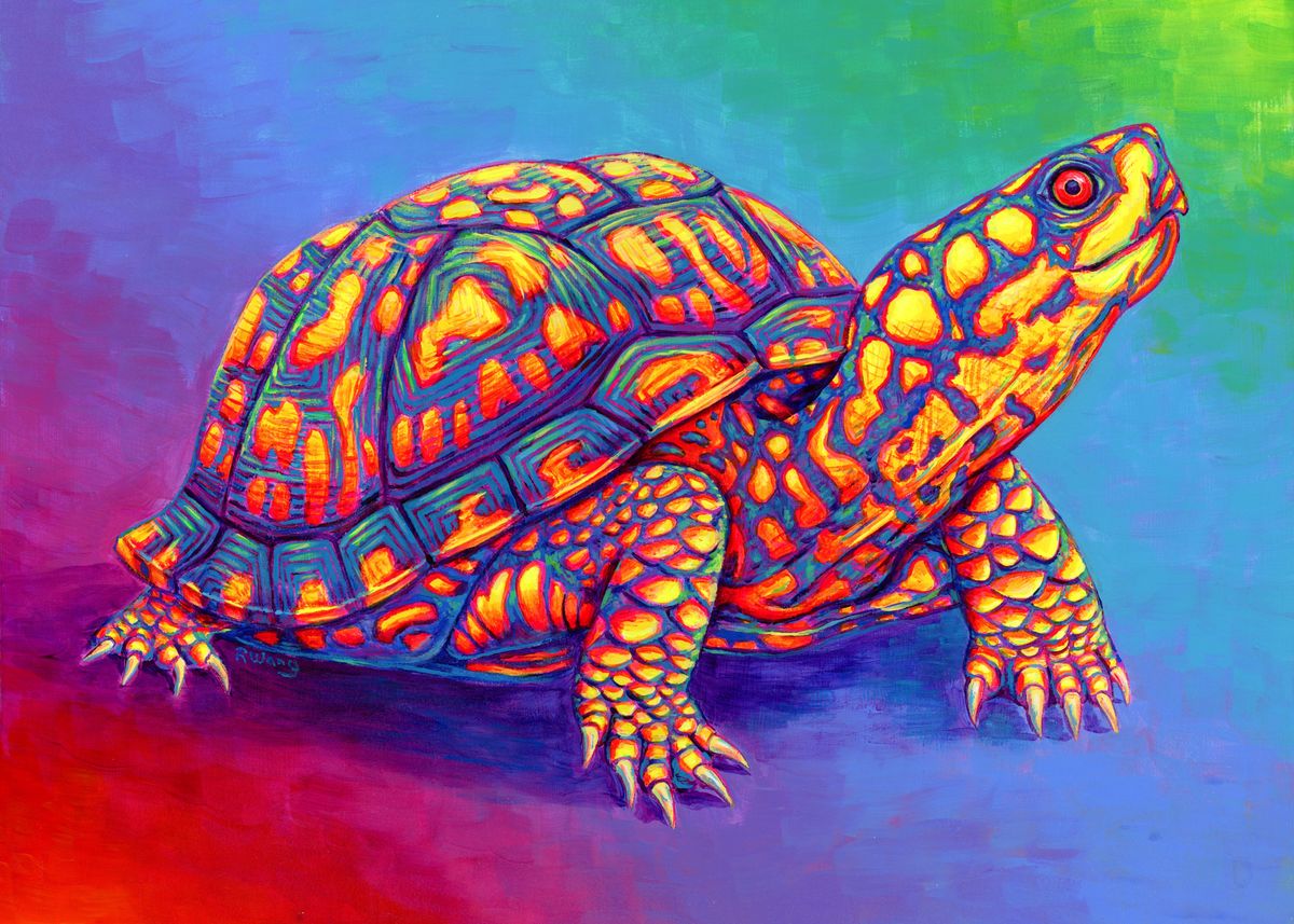 'Rainbow Box Turtle' Poster, picture, metal print, paint by Rebecca ...