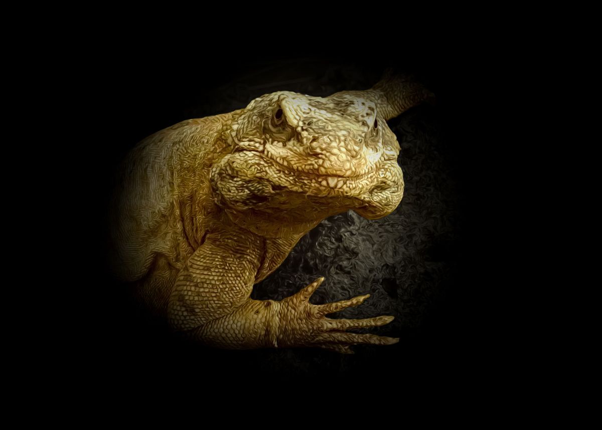 'Chuckwalla' Poster, picture, metal print, paint by Gyula Gvardián ...