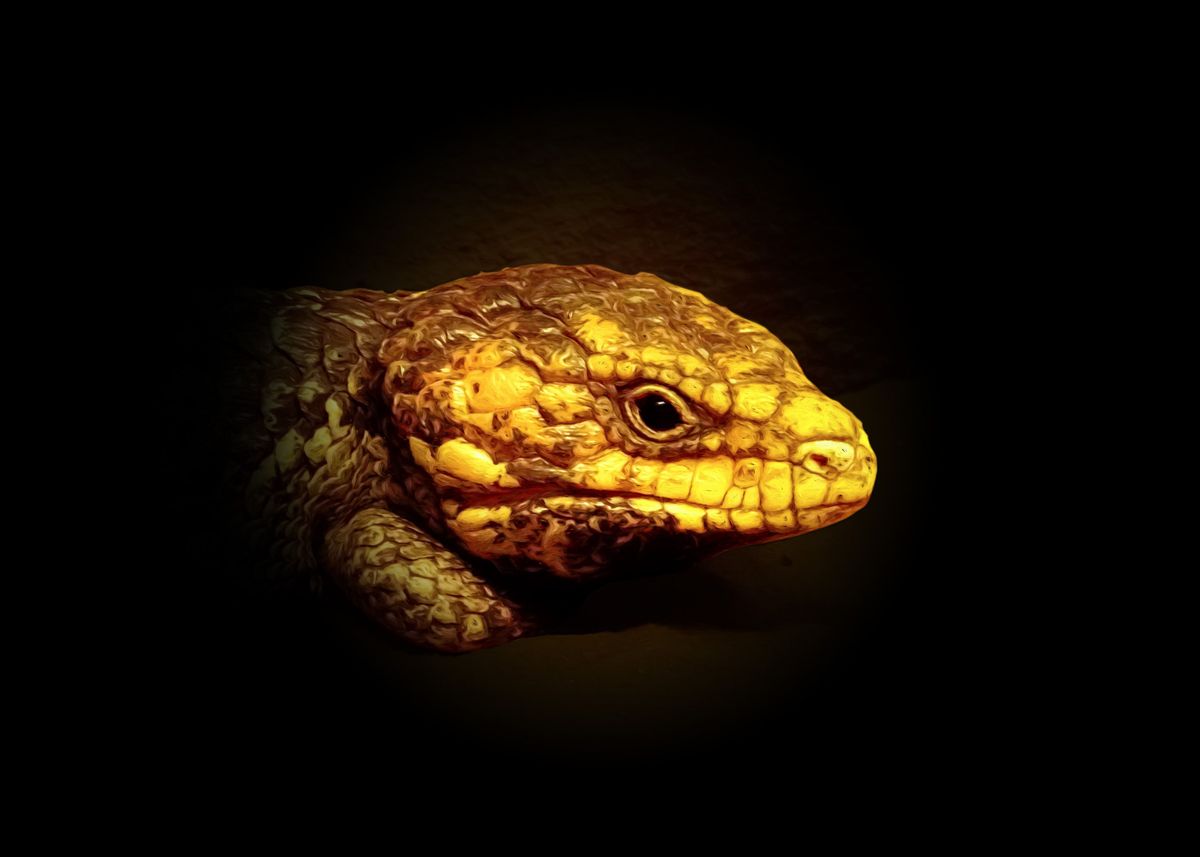 'Skink' Poster, picture, metal print, paint by Gyula Gvardián | Displate