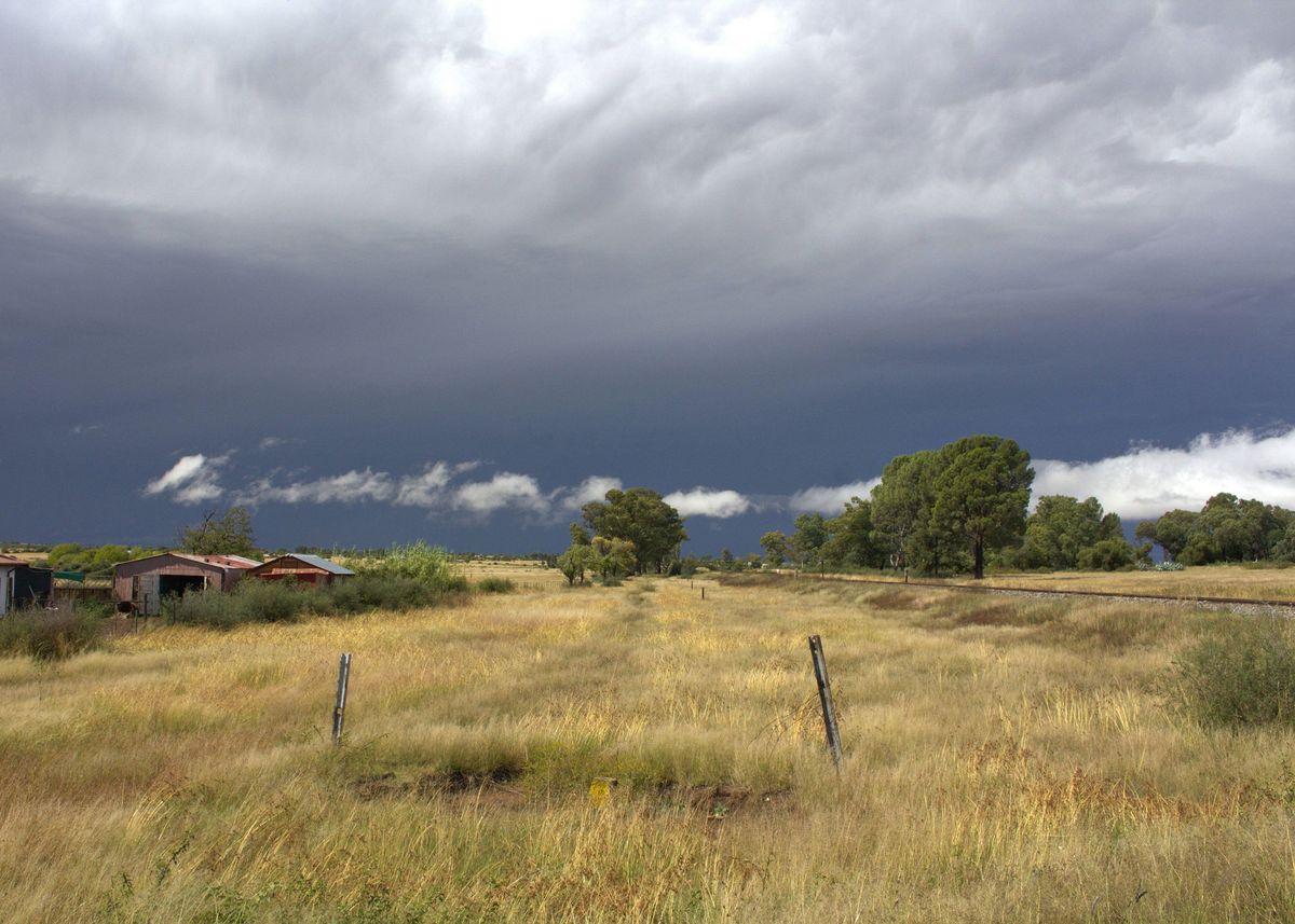 'Plain of Free State before' Poster, picture, metal print, paint by ...