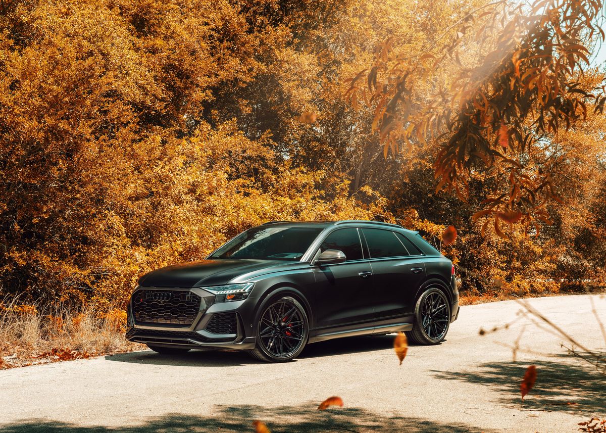 'Audi RSQ8 Vossen Satin' Poster, picture, metal print, paint by auto ...