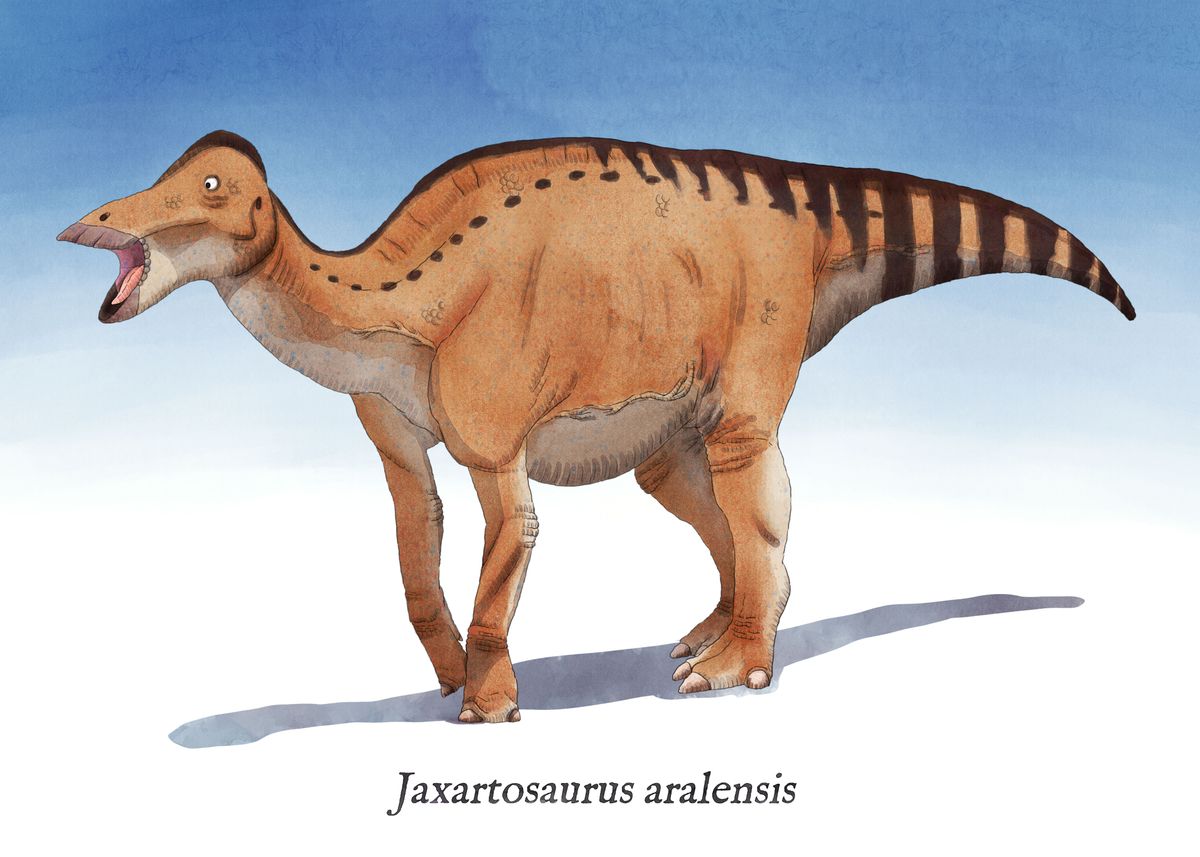 'J is for Jaxartosaurus' Poster, picture, metal print, paint by ...