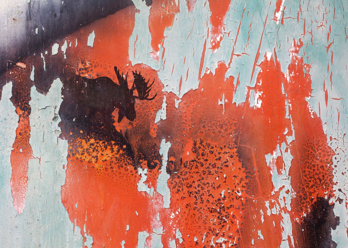 'Moose World' Poster, picture, metal print, paint by Adrian Hillman ...