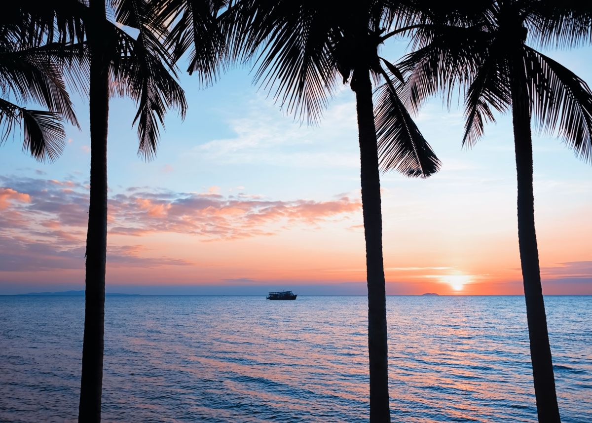 'Tropical Sunset' Poster, picture, metal print, paint by Mango Art ...