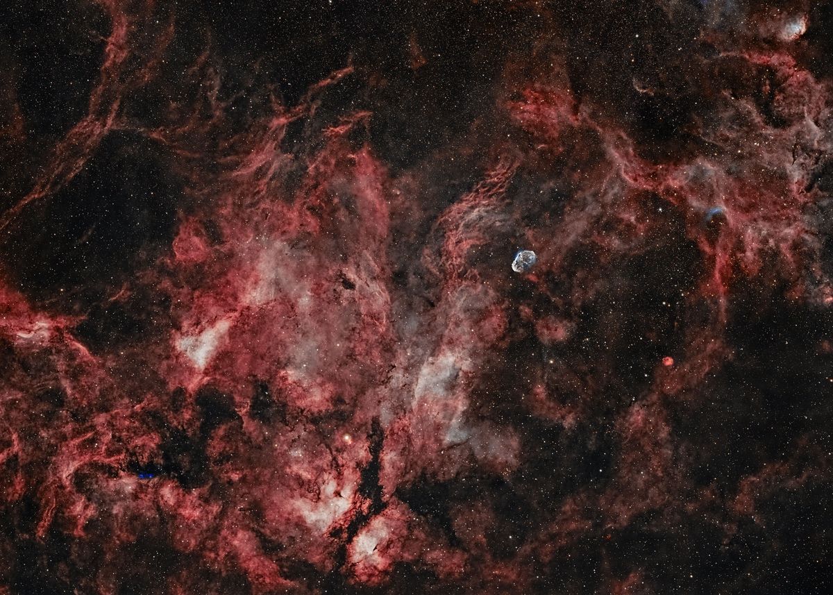 'Heart of Cygnus' Poster, picture, metal print, paint by Dominic Gareau ...