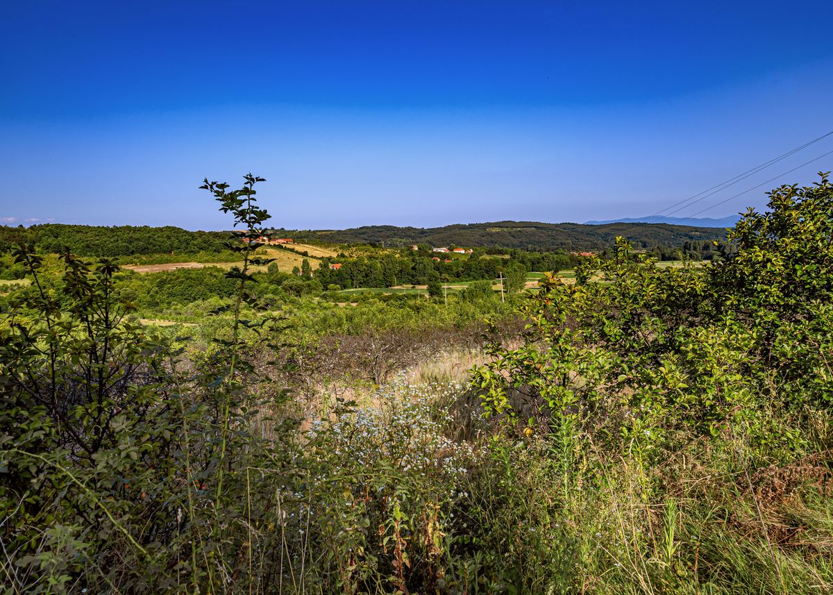 'Serbian landscape' Poster, picture, metal print, paint by Michael ...