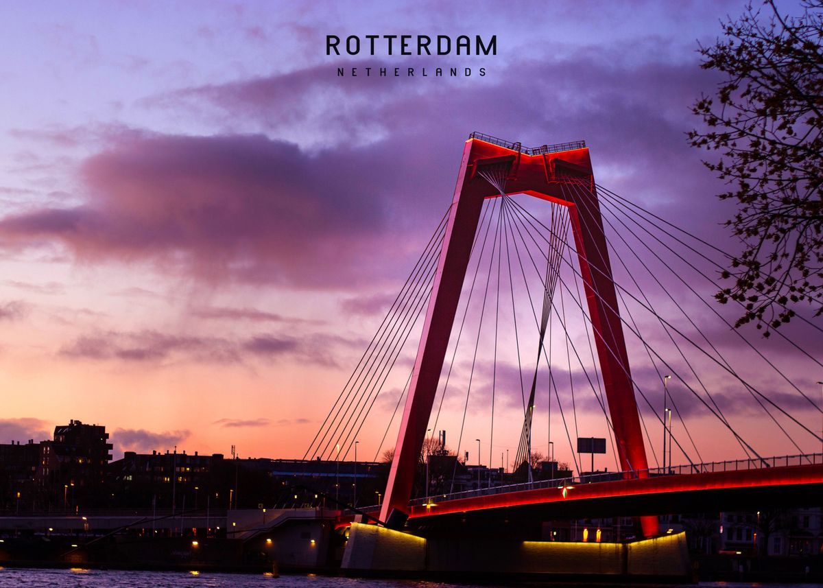 'Rotterdam ' Poster, picture, metal print, paint by Big City | Displate