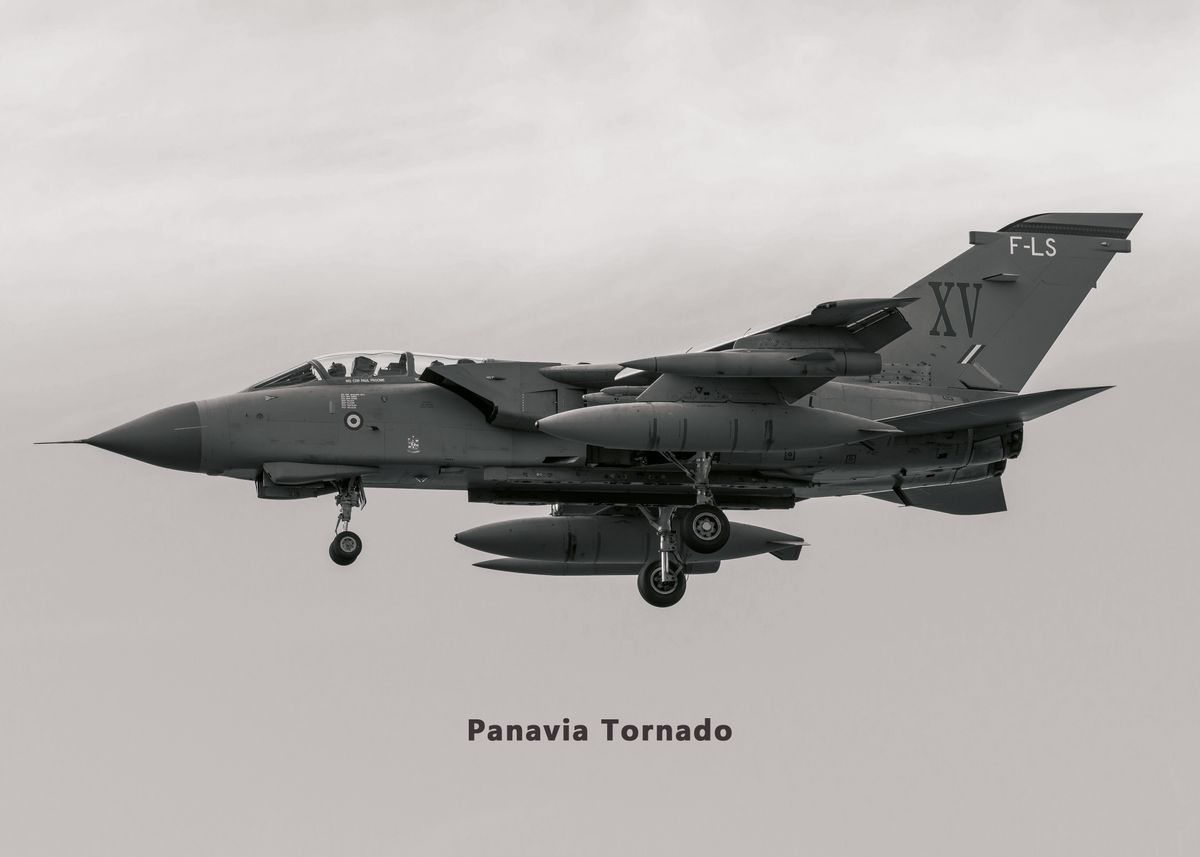 'Panavia Tornado Jet' Poster, picture, metal print, paint by Magadire ...