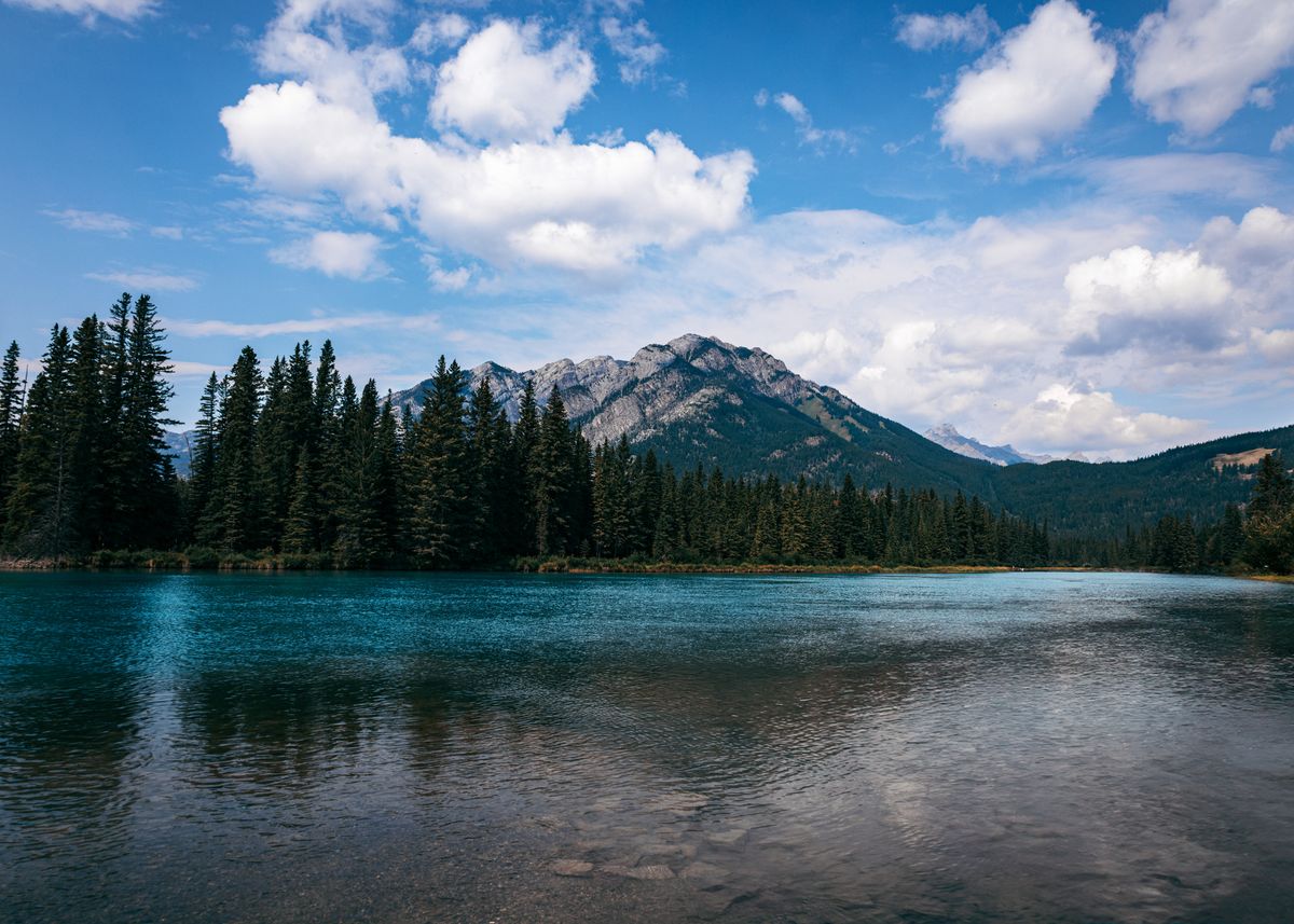 'Mountain Lake Serenity Banff' Poster, picture, metal print, paint by ...