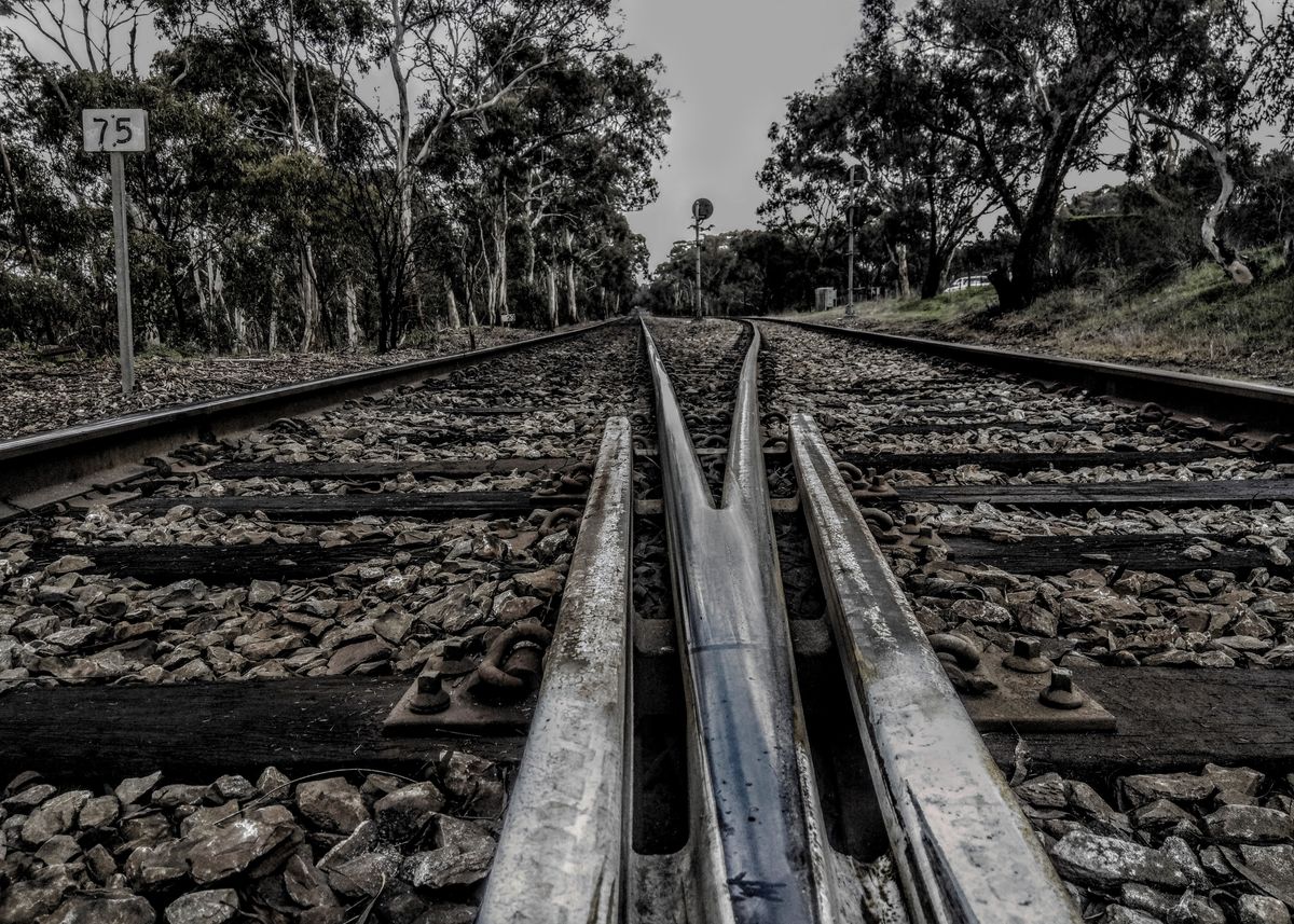 'Railroad Tracks Splitting' Poster, picture, metal print, paint by ...