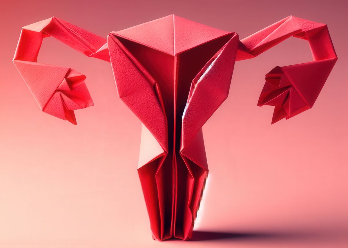'Origami Uterus' Poster, picture, metal print, paint by Ricardo Betanho ...
