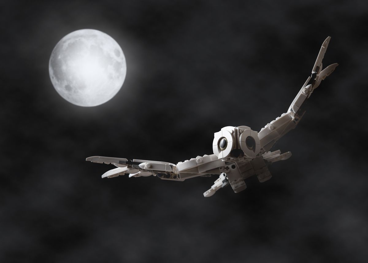 'Hedwig Moon' Poster, picture, metal print, paint by Dan Beecroft ...