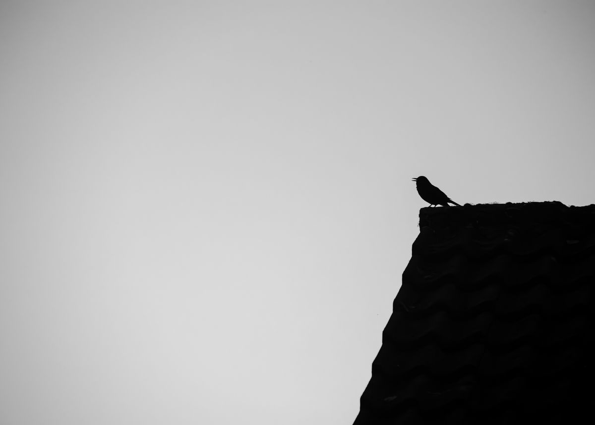 'Mutually Exclusive' Poster, picture, metal print, paint by Beau Sas ...