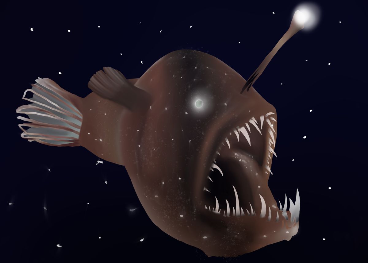 'Anglerfish Illustration' Poster, picture, metal print, paint by Lyca ...