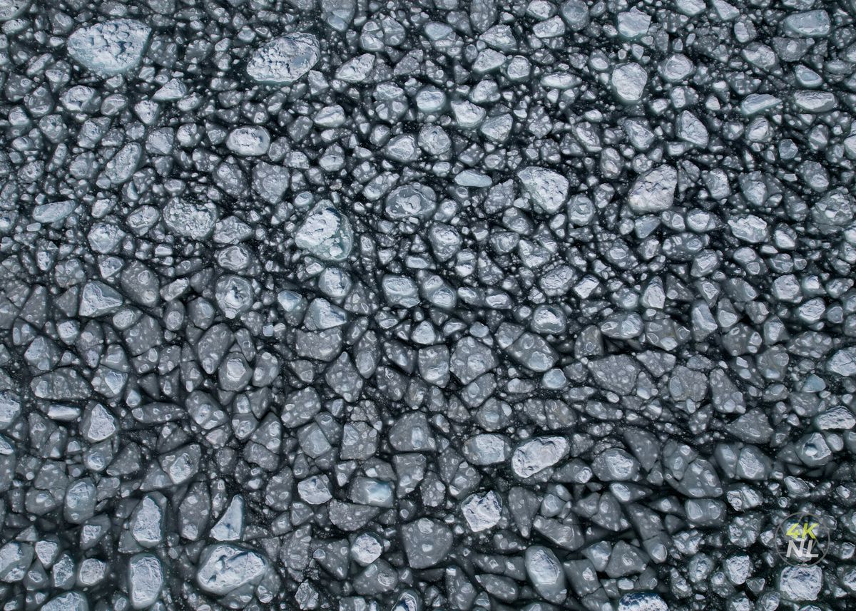 'Slob' Poster, picture, metal print, paint by 4KNL | Displate