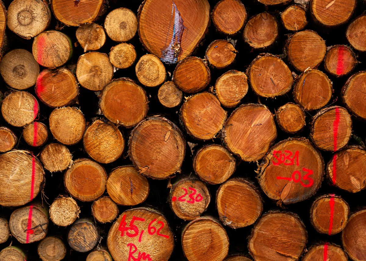 'Stacked Wood Logs' Poster, picture, metal print, paint by Marcus ...