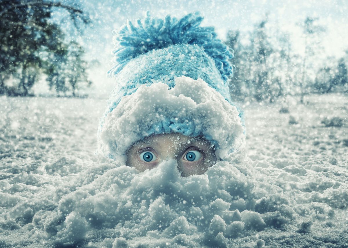 'Snowed In Surprise' Poster, picture, metal print, paint by John ...