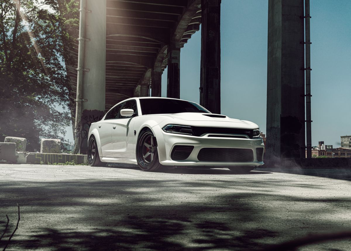 'White Dodge Charger Under Bridge' Poster, picture, metal print, paint ...