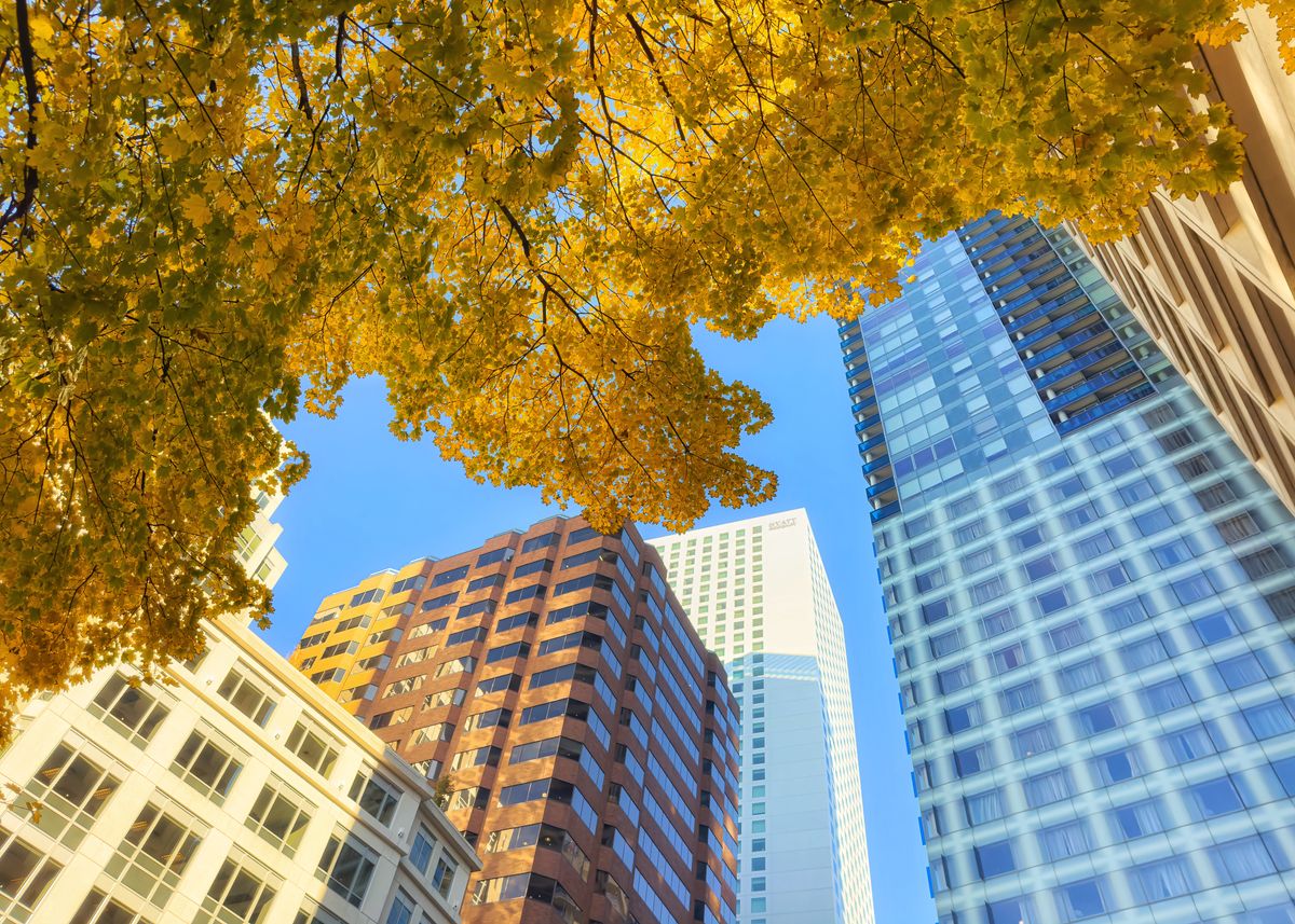 'Autumn Seattle with Skyscrapers' Poster, picture, metal print, paint ...